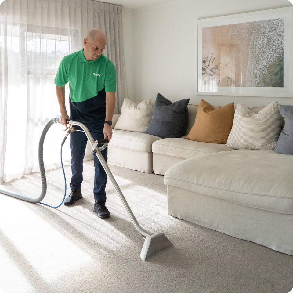Carpet & Upholstery Cleaning Advice & Tips | Chem-Dry