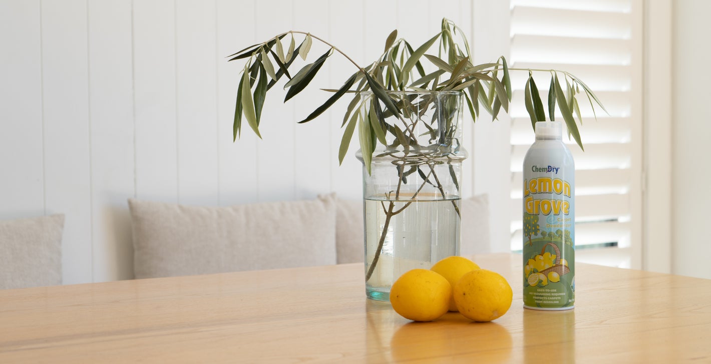 Expert Carpet Cleaning & Flood Restoration Services | Chem-Dry